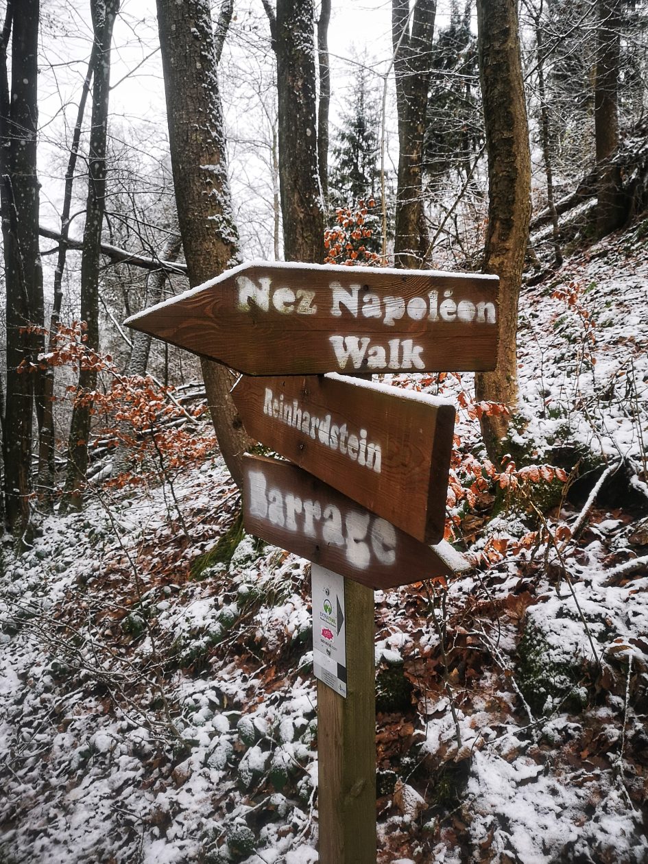 Korte, maar pittige wandelingen in de Hoge Venen – Vetexbart reisblog