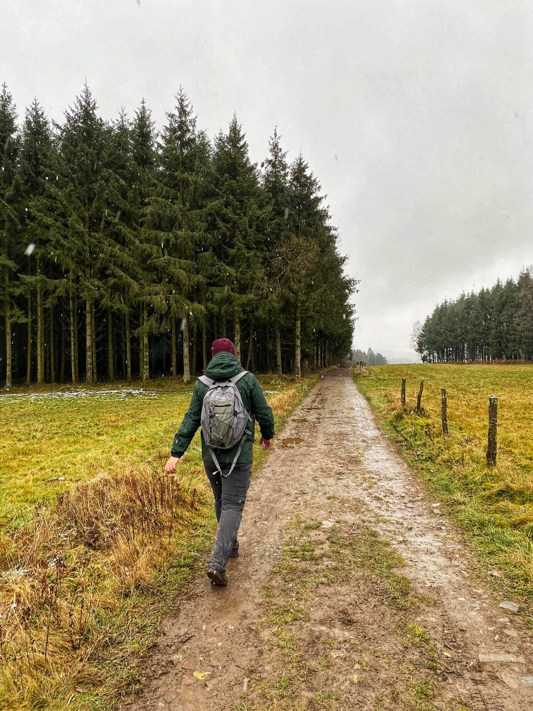 Korte, maar pittige wandelingen in de Hoge Venen – Vetexbart reisblog